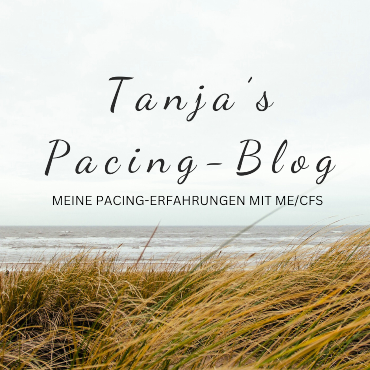 Tanjas Pacing-Blog (@tanjas_pacing_blog) • Activity